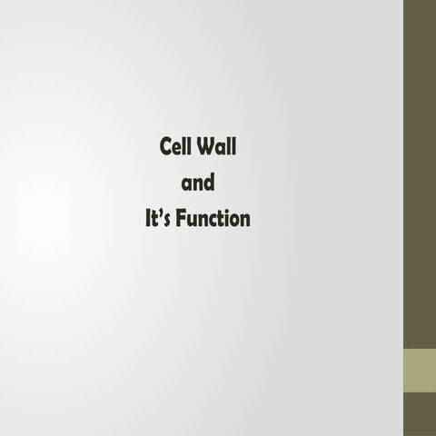 Cell-wall-properties-and-its functions.pptx