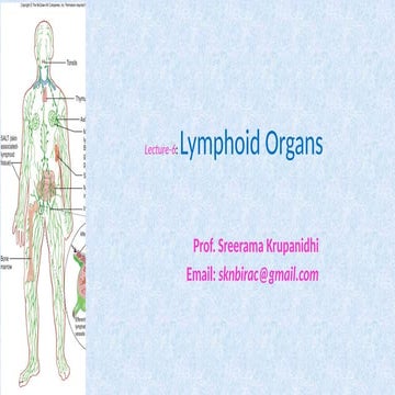 Lecture-6 Lymphoid organs along with Thymic Schooling | PPT