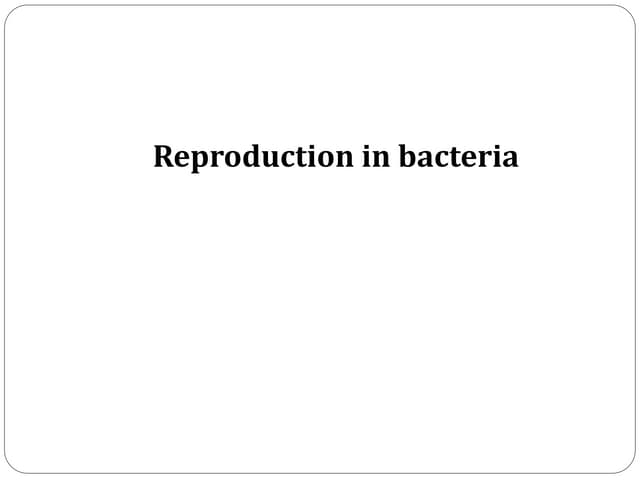 Bacterial growth curves | PPTX