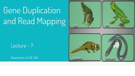 Microbial genetics lectures 13,14, and 15 | PPT