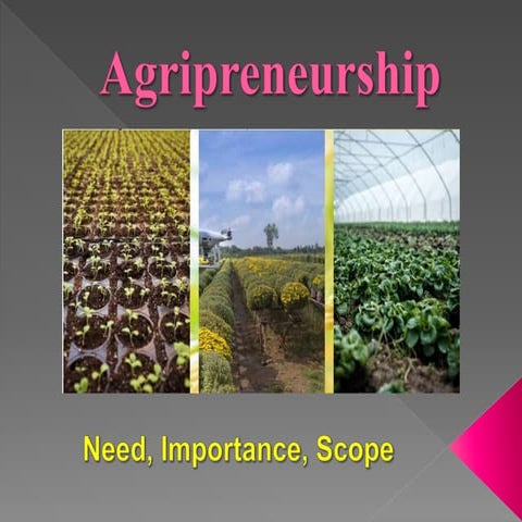 AGRI-ENTREPRENEURSHIP - Need, Scope ,Areas | PPTX