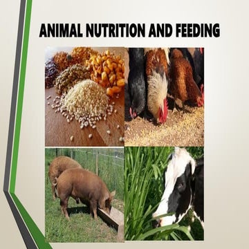 Principles of Animal Nutrition LECTURE_NOTE_I.pdf