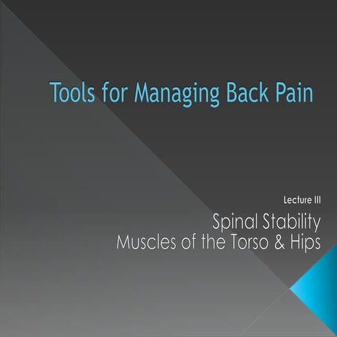 MANUAL MUSCLE TESTING OF CORE MUSCLES (abdominals) | PPTX