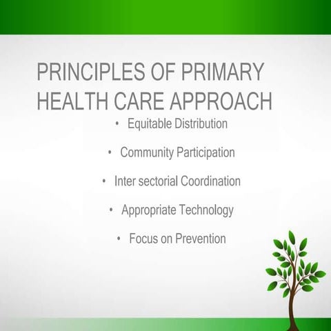 Lecture primary health care and delivery | PPTX