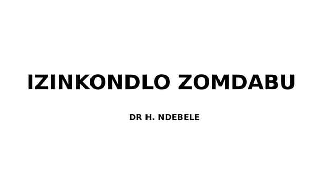 Izinhlobo Zamabizo (Types of Nouns) IsiZulu Ibanga 8 | PDF