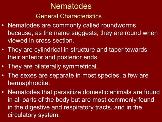 Morphology of nematodes | PPTX | Large Animals | Pets