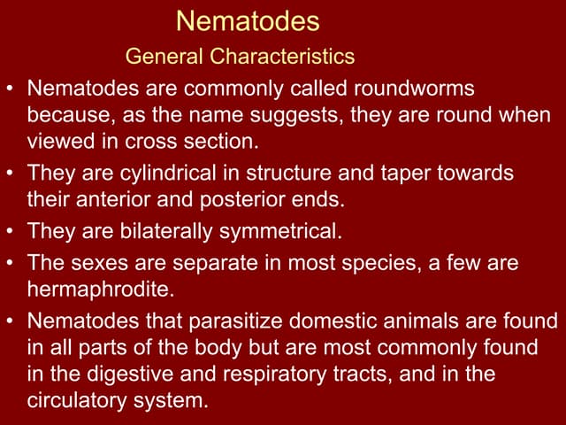 Morphology of nematodes | PPTX