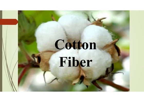 Cotton ppt | PPTX