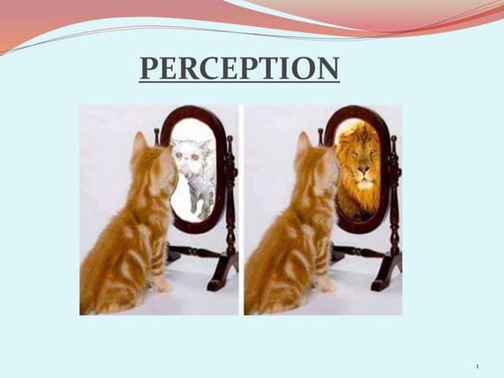 Perception-Understanding-the-World-Around-Us.pptx