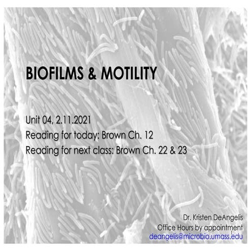 Lecture 04 (2 11-2021) motility | PDF