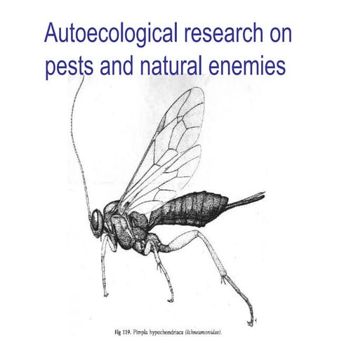 slide biological control- section Autoecology | PPT