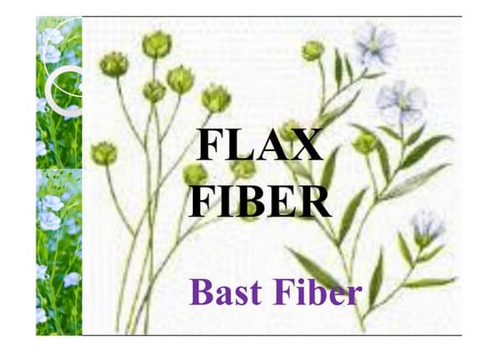 Fiber yeilding plants : Cotton, Jute & Flax | PPT