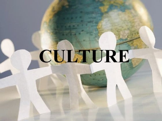 Lesson 1 human cultural variation, social differences, social | PPTX