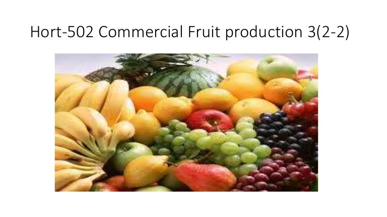 Classification of Fruits