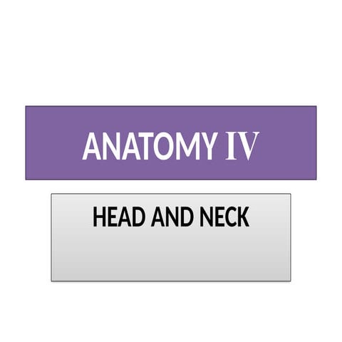Head And Neck Anatomy Ppt