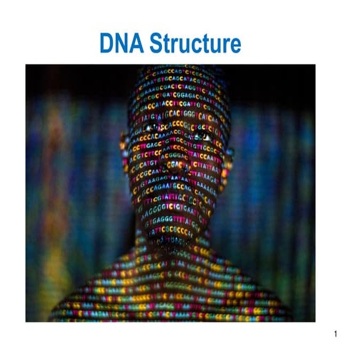 Lecture 1.2 DNA Structure.pptx Biology Powerpoint | PPTX