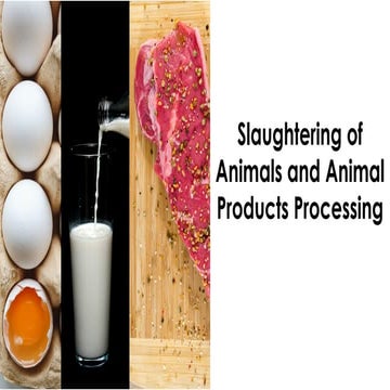 Lecture 1. Improtance of Animal Product_Terminologies.pptx