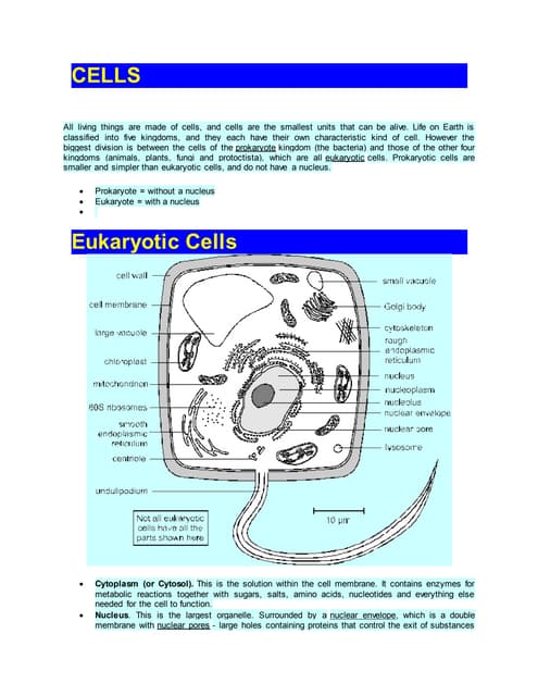Cell and tissue | PPTX