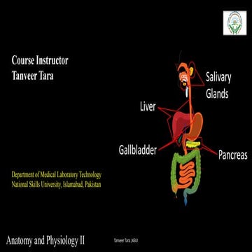 Lecture 1-Digestive System.pdf ppt presentation | PDF