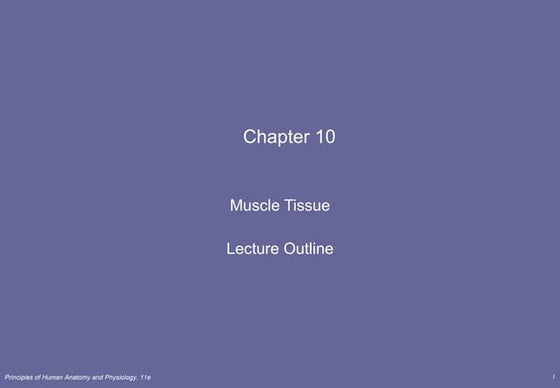 GHH Muscle Tissues | PDF | Computer Peripherals | Computing