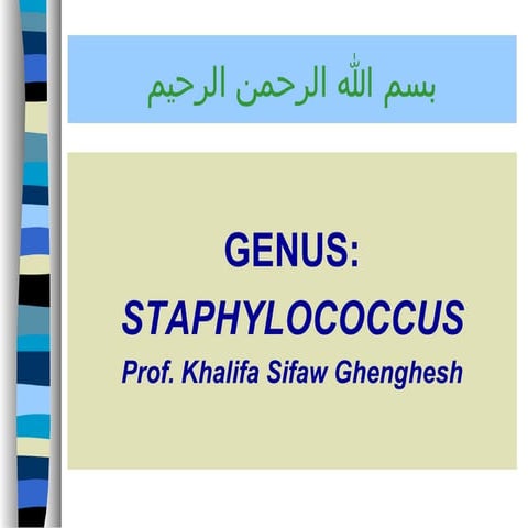 Lecture 1 Staphylococcus aureus | PPT