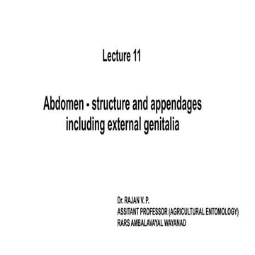 Abdomen- structure and appendages including external genitalia | PPTX