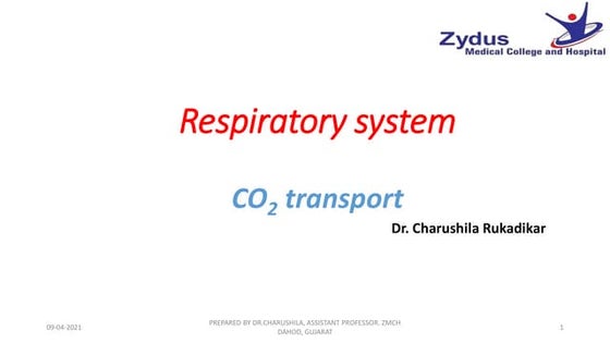 lecture 6 /2023-Respiratory Physiology - work of breathing , dead space.pdf