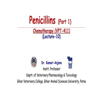 Lecture_10_Penicillines_Part_I Presenation.pptx