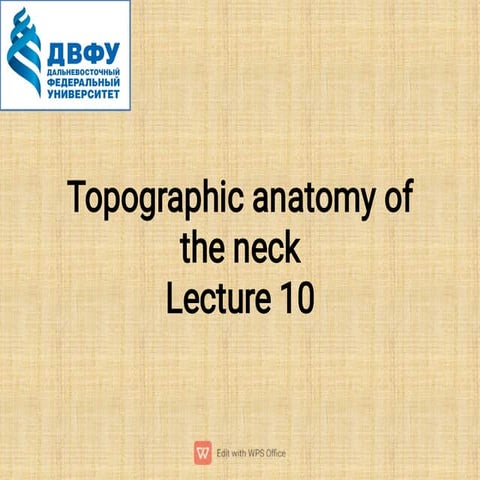 propaedeutics ppt HW - 7 presentation.pptx