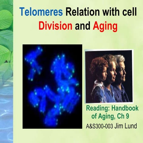 Telomeres Relation with Cell Division and Aging.ppt