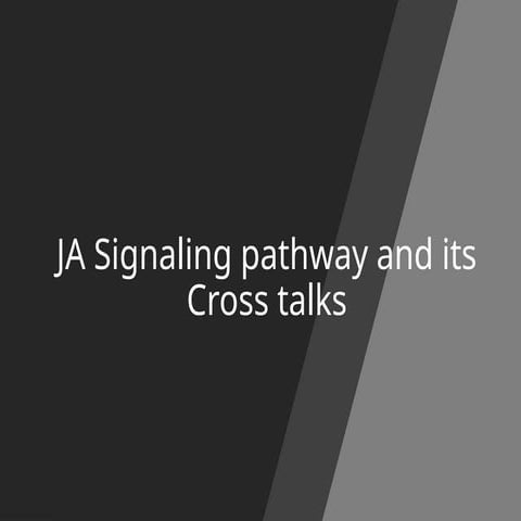 Lecture 11., Asab.pptx ja signalling pathway | PPTX