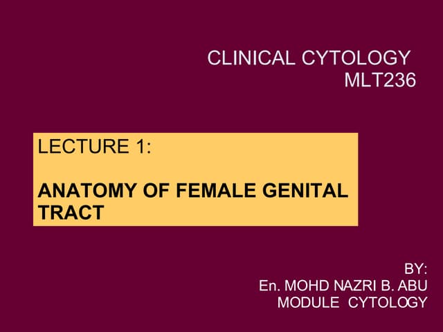 Anatomy of Female internal genitalia.pptx