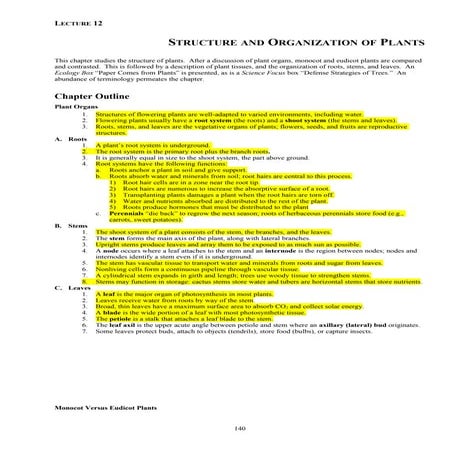 structure and function in plants | PDF | Free Download