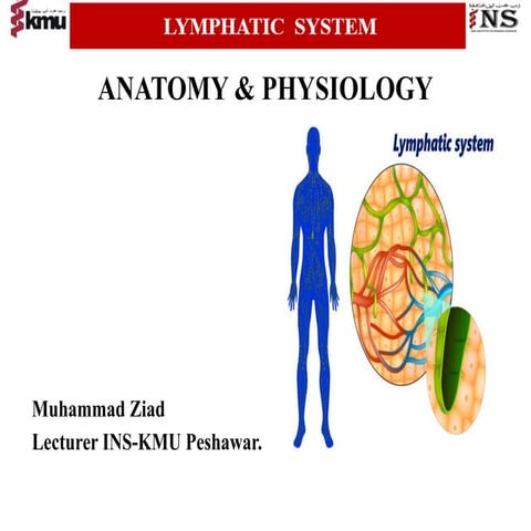 BSN Lecture 12 Lymphatic System A&P.pptx