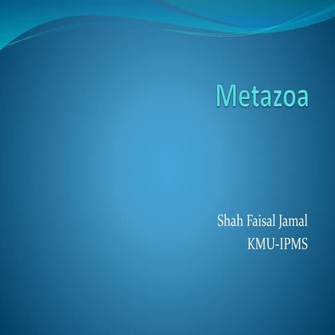 Lecture 12 Metazoa_1.pptx