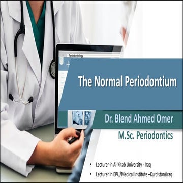 The Normal Periodontium | PDF