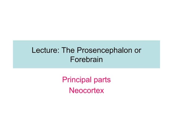 Pineal gland (Endocrinology) | PPT