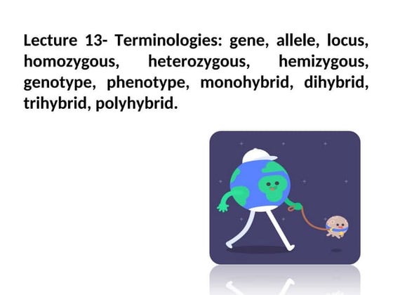 CROP IDEOTYPE CONCEPT- WHEAT, BARLEY, MAIZE AND COTTON | PPT