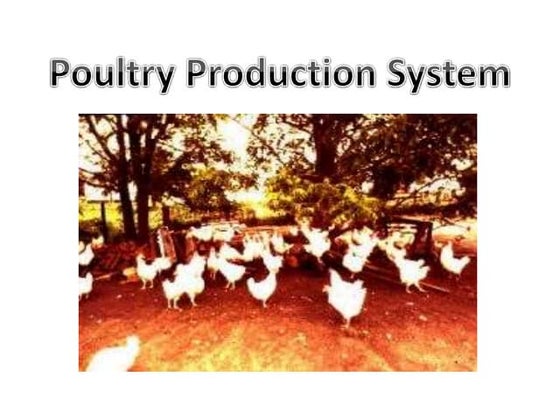 Demonstration of housing and layout plans for poultry [autosaved] | PPTX