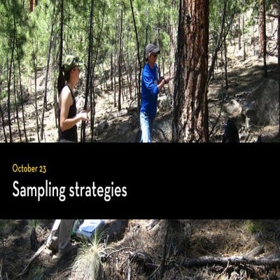 GEOG5839.13, Sampling strategies | PDF