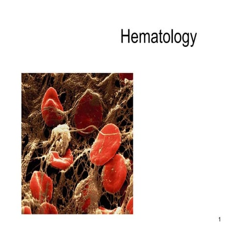 Lecture 17 hematology | PPT
