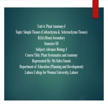 plant anatomy lecture.pptx