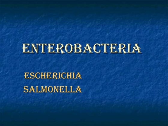 Enterobacteriaceae , Enterobacter and their Biochemical Test | DOCX