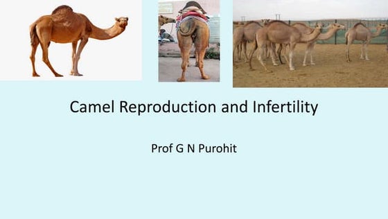 Online Marketing Mix Modelling - MeasureCamp Helsinki | PPT