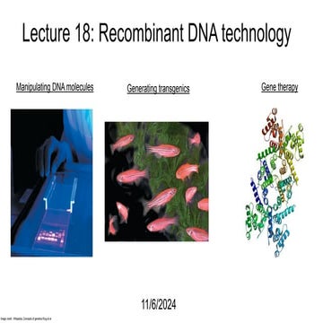 Lecture18_recombinant_DNA_technology.pdf