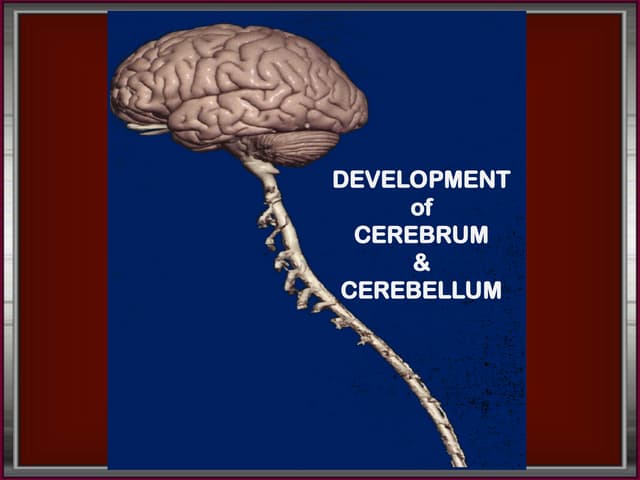 Development of brain and spinal cord- Dr Sameep Koshti (Consultant ...