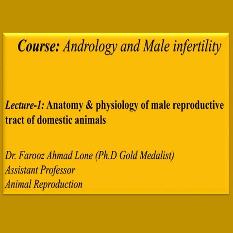 Lecture 1 Anatomy & physiology of male reproductive tract of domestic ...