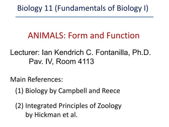 Introduction to animal form & function | PPTX