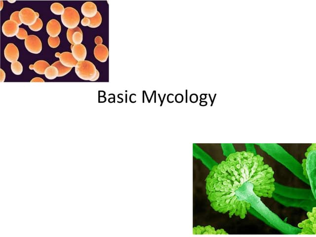 10- Fungi and Their Pathogenesis. ppt | PPT