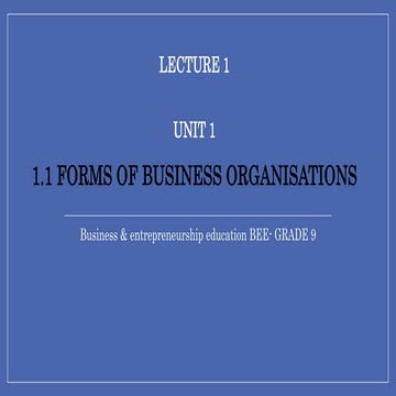 LECTURE 1 Business Organisations.pptx